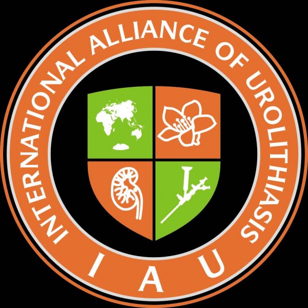 Advancements in Endourology